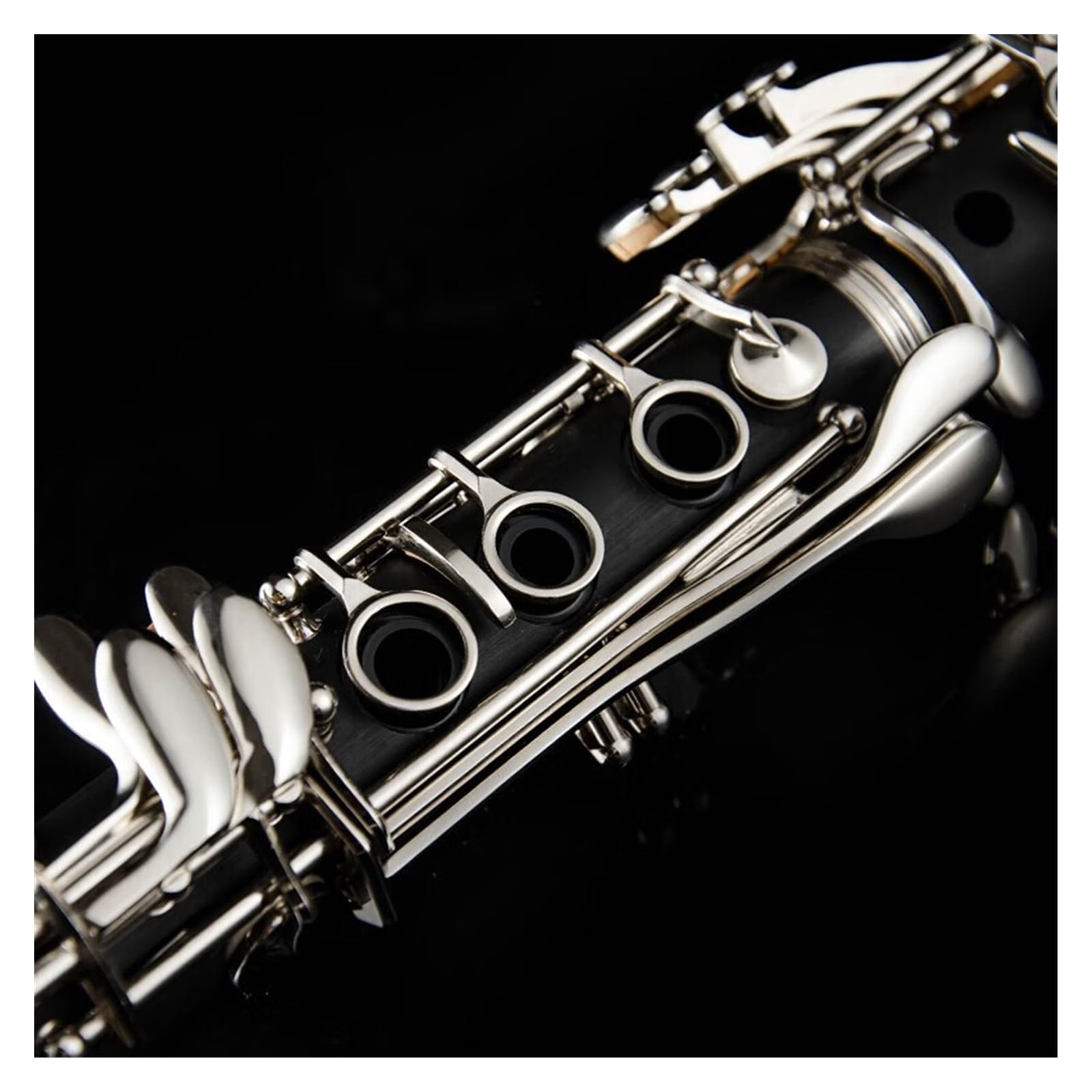 Clarinet Family With Names The Clarinets Clarinet Family