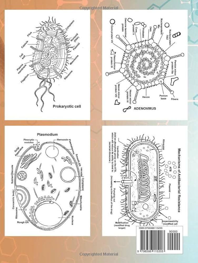 Prokaryote Cell Coloring Pages [2025]