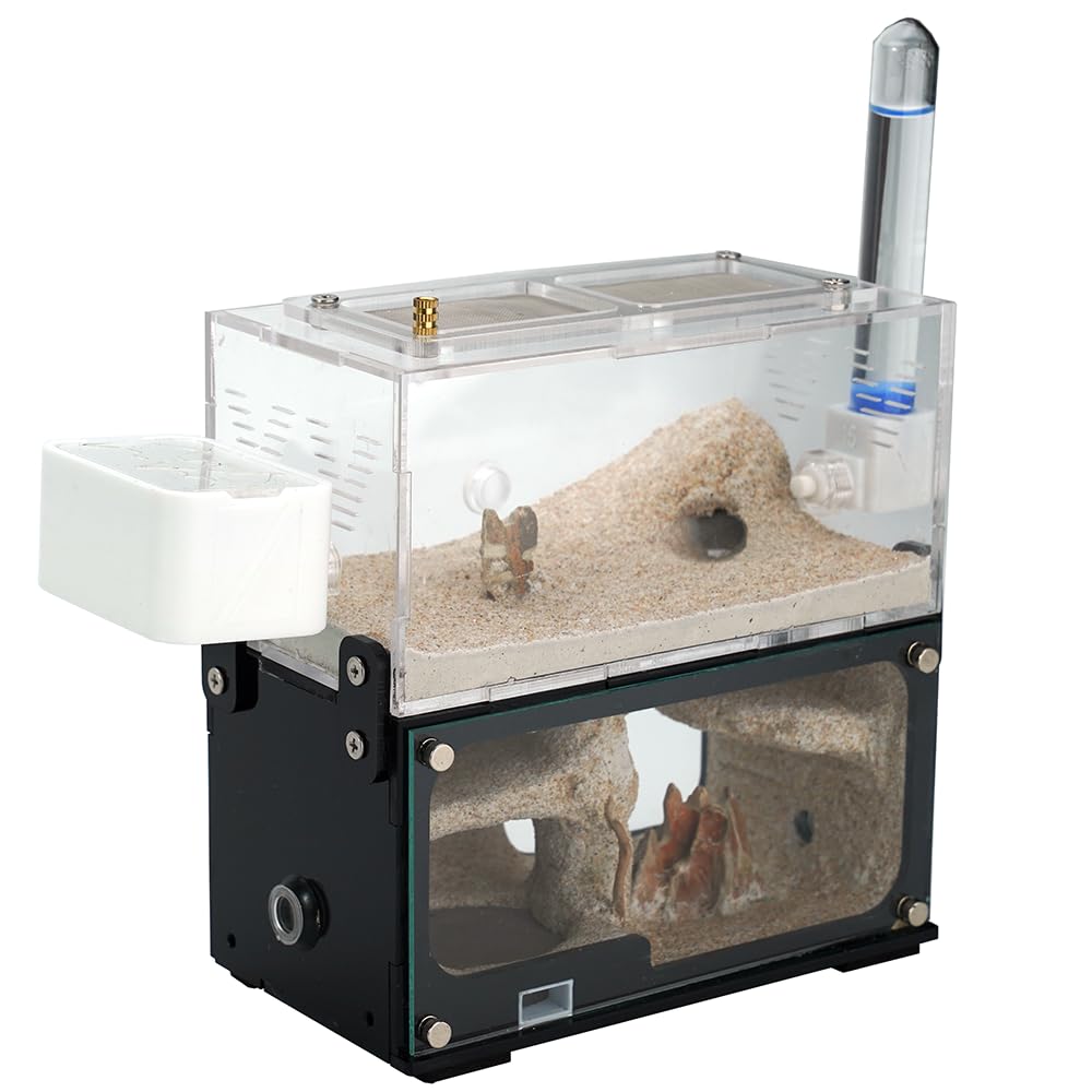 Rimsunta Ant Farm Ant House for ant Farm for Adults Study of Ant ...