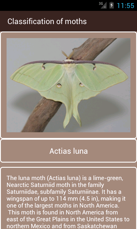 Classification of Moths - App on Amazon Appstore