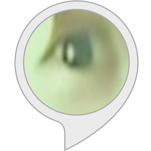 Amazon.com: Body Part Generator : Alexa Skills