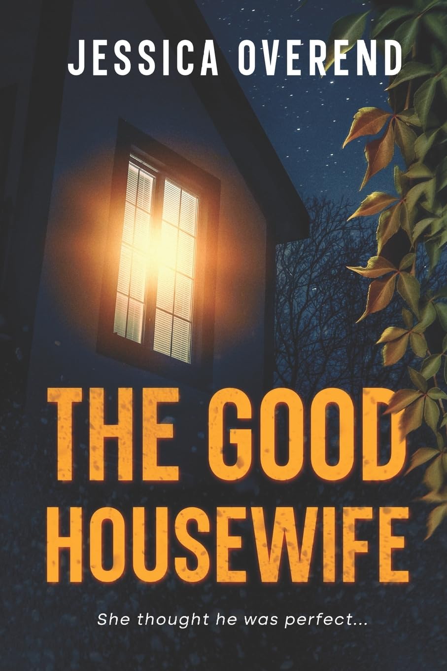 Amazon.com: The Good Housewife (The Good Family Series): 9798987973509 ...