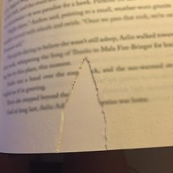 Amazon.com: Queen of Shadows (Throne of Glass, 4): 9781619636064: Maas, Sarah J: Books