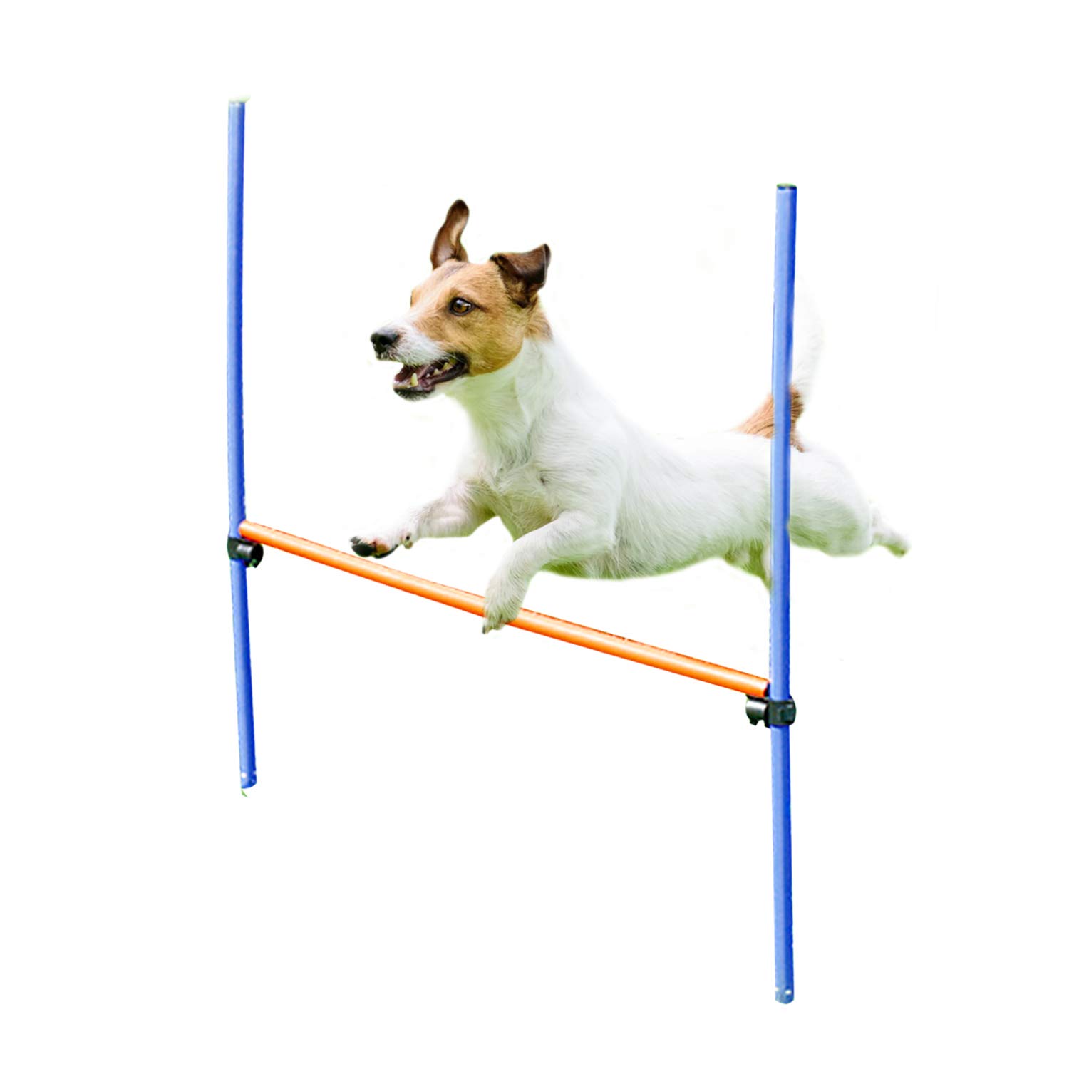 How Do You Make Dog Agility Jumps