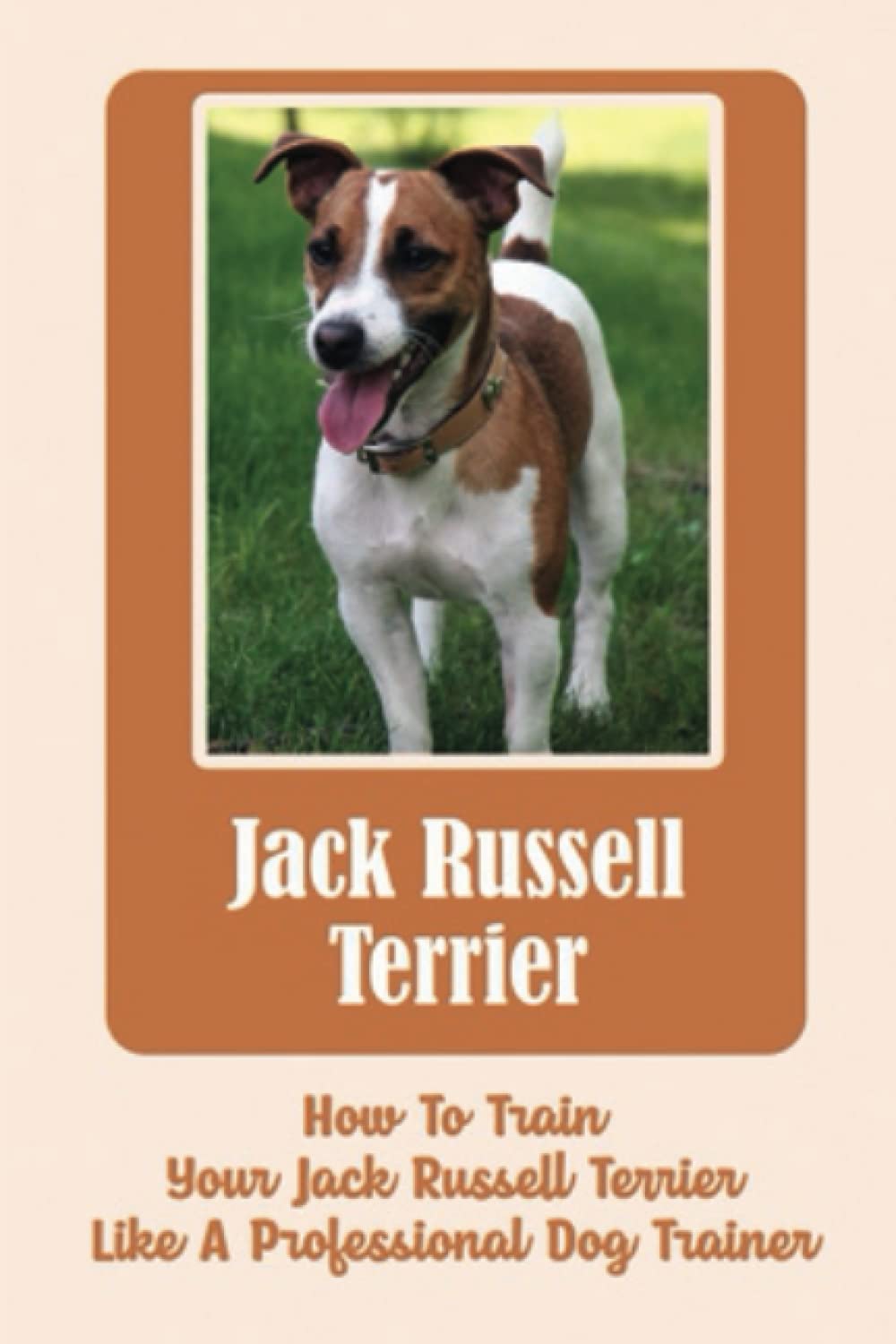 Jack Russell Terrier: How To Train Your Jack Russell Terrier Like A ...