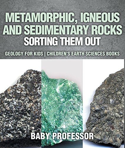Amazon.com: Metamorphic, Igneous and Sedimentary Rocks : Sorting Them ...