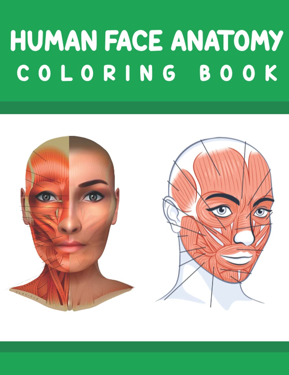 Human Face Anatomy Coloring Book Fun And Easy Human Face | Desertcart GB