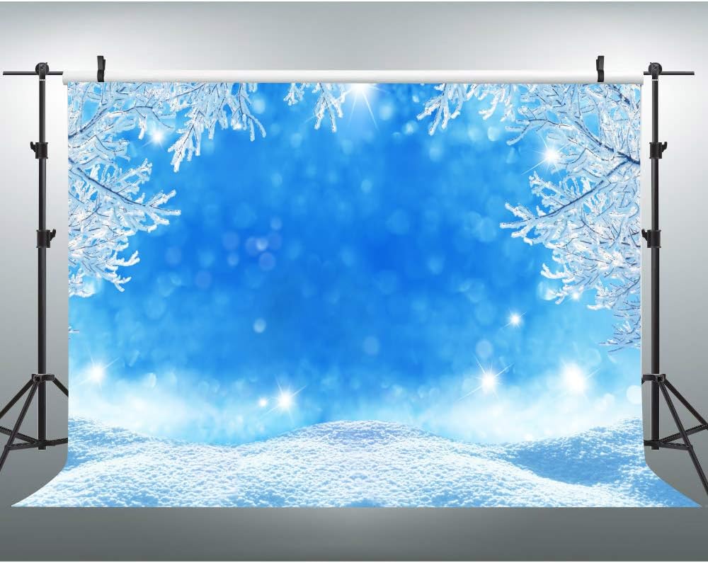 EOA 7x5ft Winter Backdrop Ice and Snow White World Photography ...