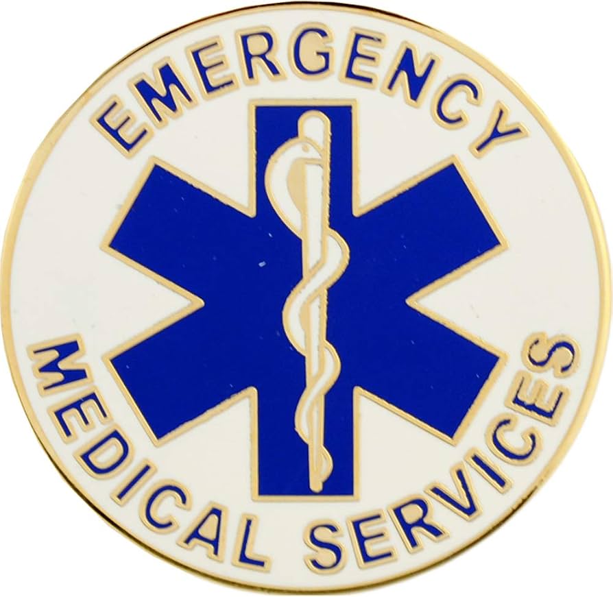 Ems Emblem Ems Symbol Stock Vector Illustration And Royalty Free Ems