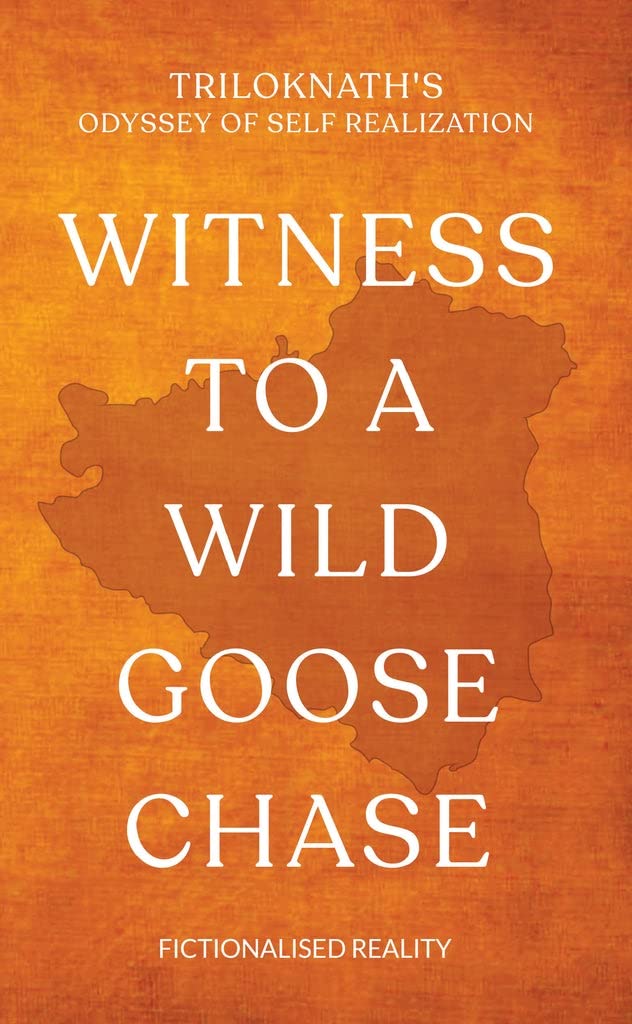 Witness To A Wild Goose Chase Triloknath Amazon in Books witness-to-a-wild-goose-chase-triloknath-amazon-in-books