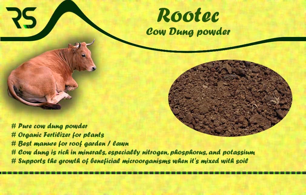 Cow Dung