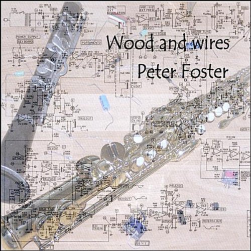 Amazon.com: Wood And Wires : Peter Foster: Digital Music