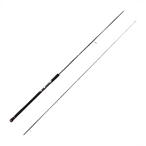 Amazon.com : Major Craft Shore Jigging Rod 2 Generation Sorupara X Super Light Shore diformate ...