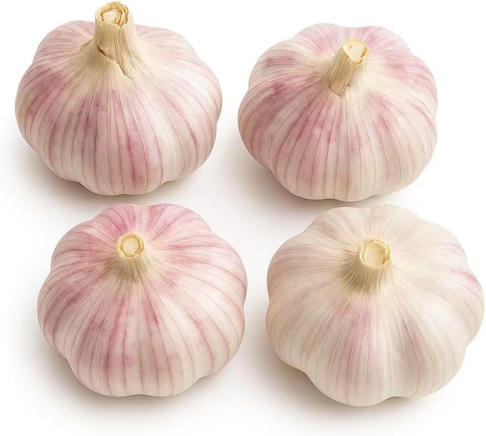 Amazon.com : Gourmet Red Garlic Bulbs Hard Neck - 4 Bulbs - Garlic to ...