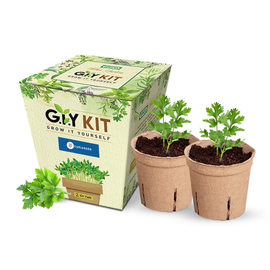 IFFCO Urban Gardens GIY Kit (Grow It Yourself) - Biodegradable ...