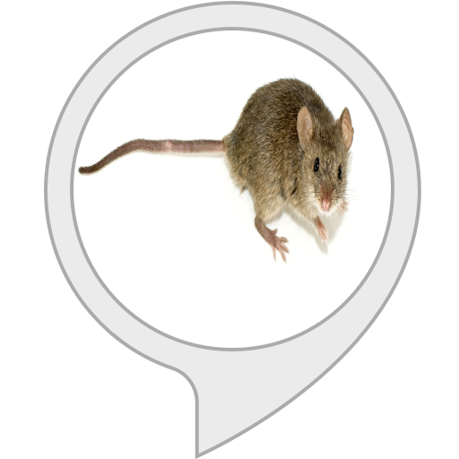 Amazon.in: mouse fact : Alexa Skills