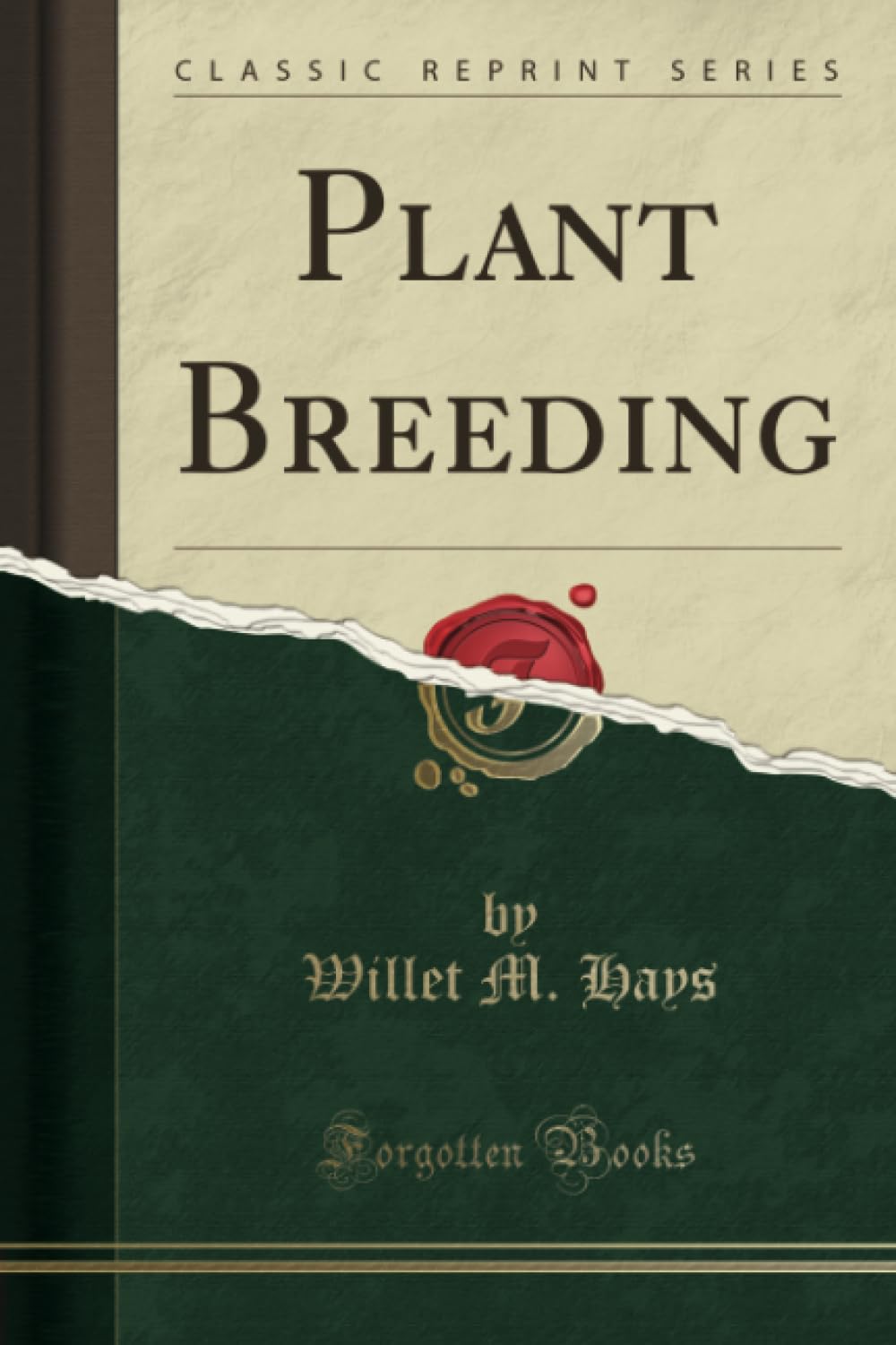 Willet Breeding