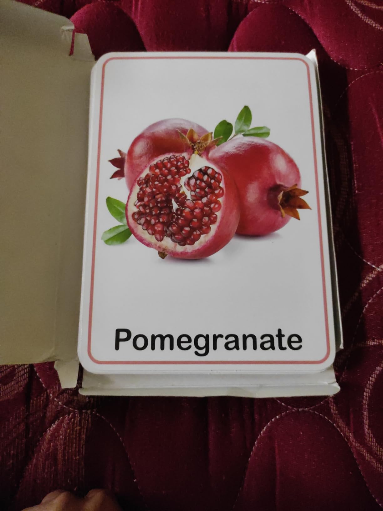 Buy meraki babies large size flash cards of vegetables & fruits for ...