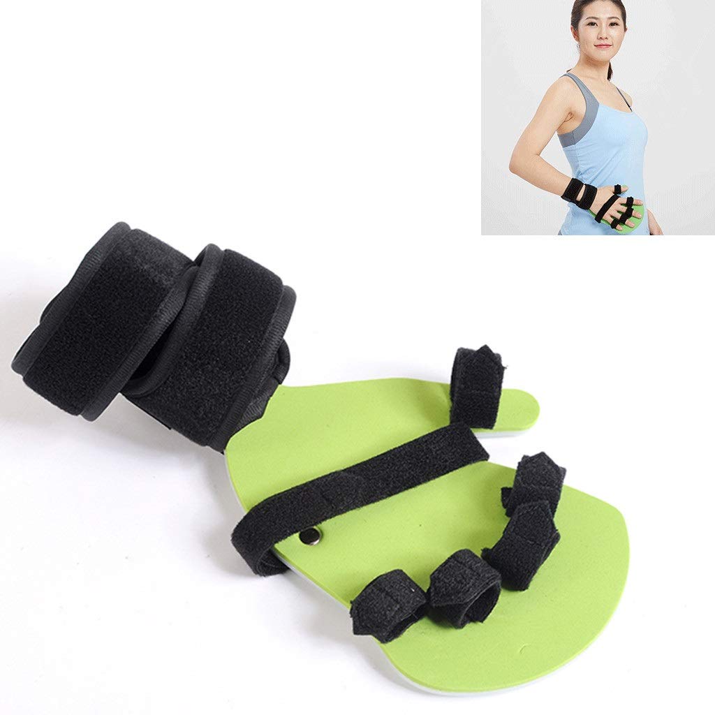 Buy Finger Training Device, Finger Separator Orthotics Splint ...