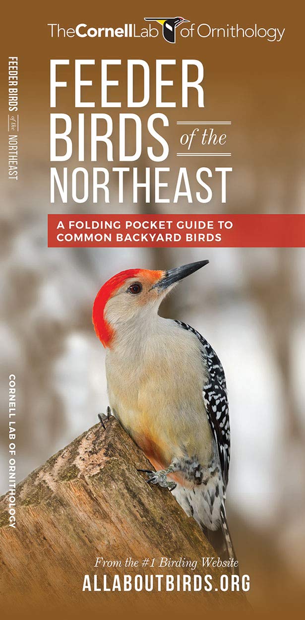 Feeder Birds of the Northeast: A Folding Pocket Guide to Common ...