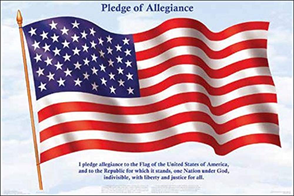 Amazon.com: Pledge of Allegiance Laminated Educational History Teacher ...