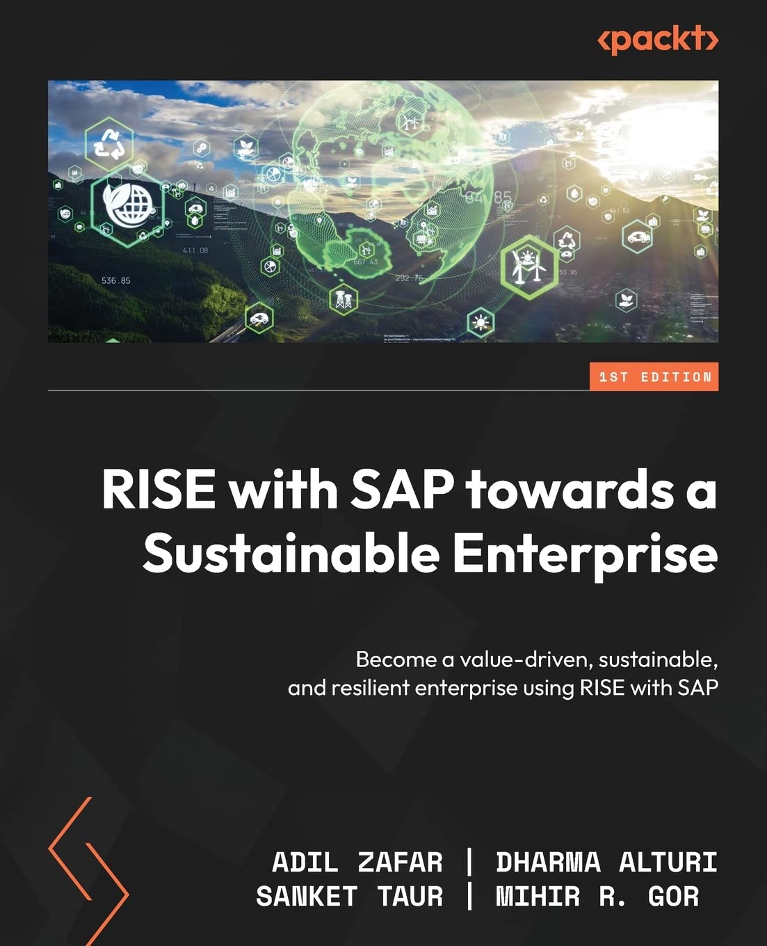 Buy RISE with SAP towards a Sustainable Enterprise: Become a value ...