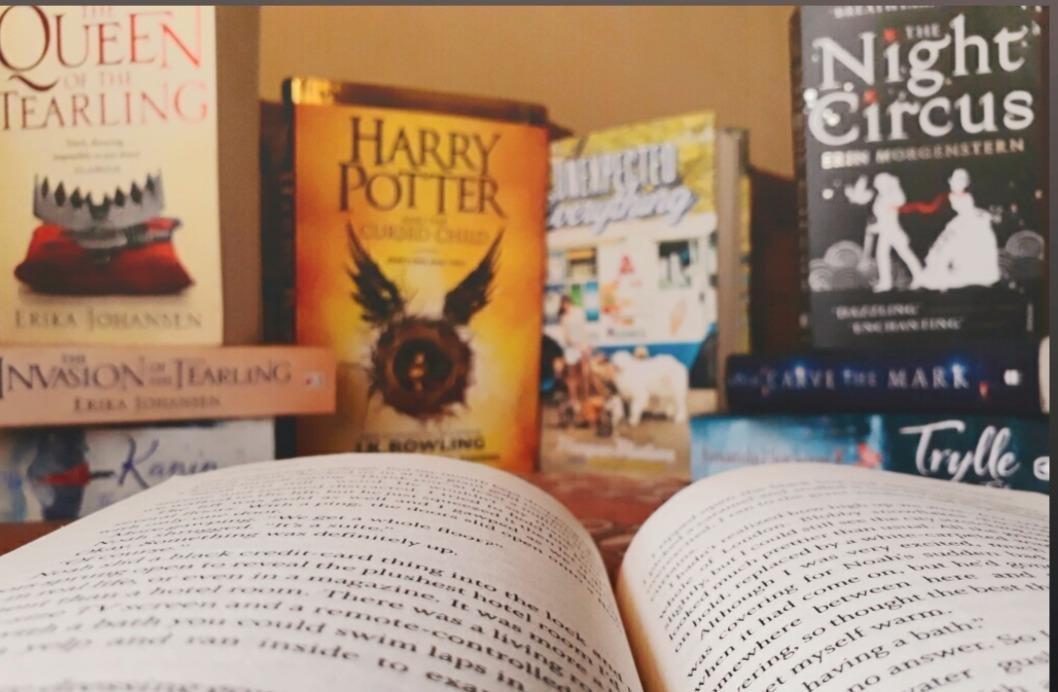 Kanin: The Complete Chronicles : Amanda Hocking: Amazon.in: Books