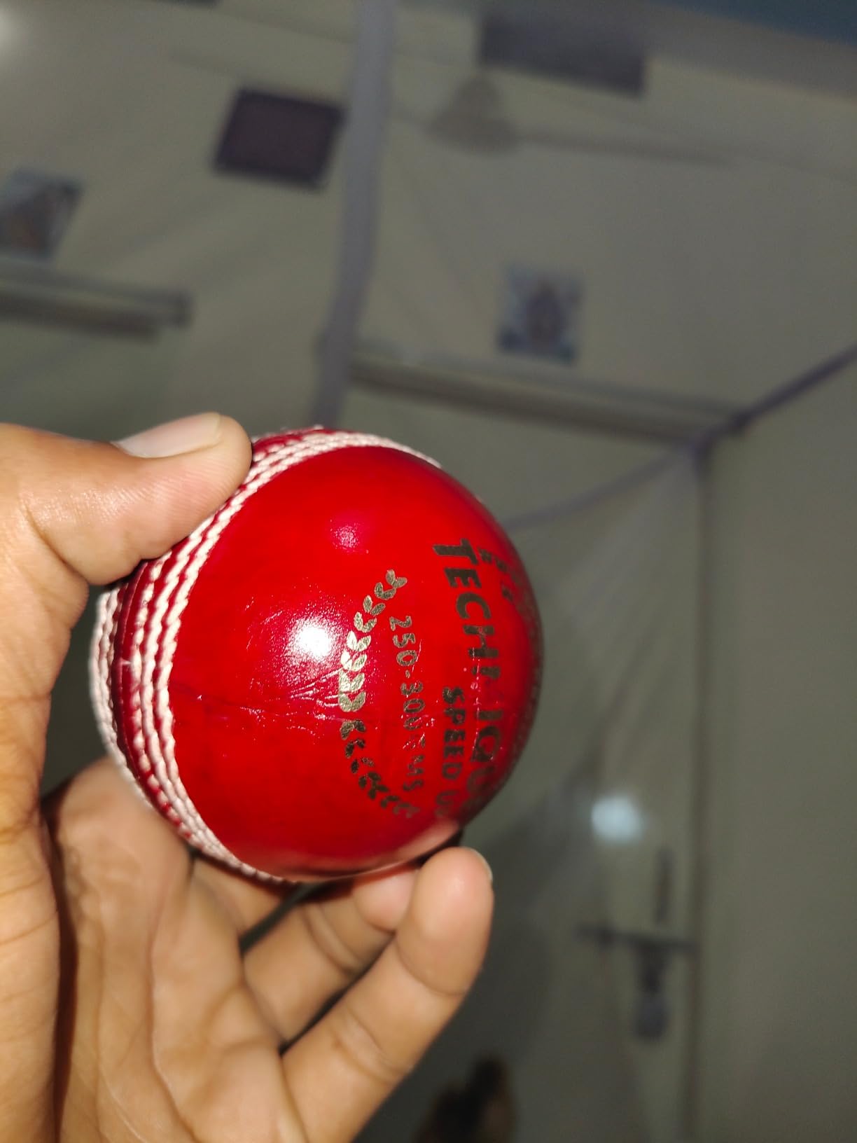 Gortonshire Leather Heavy Cricket Ball 250-300 Grams, Red : Amazon.in ...
