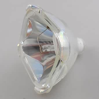 Amazon.com: Projector bulb LMP-P202 for SONY VPL-PS10 / VPL-PX10 / VPL ...