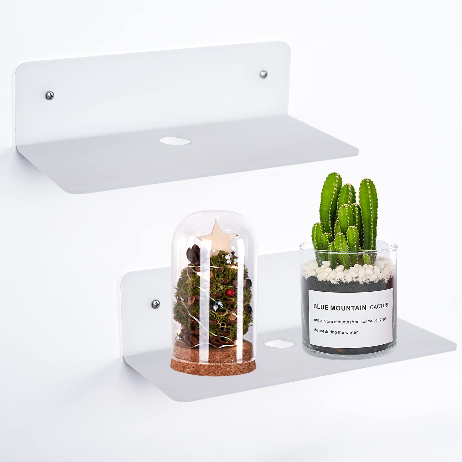 Snapklik.com : FAZMoss 2PS Acrylic Floating Wall Shelves, 9 Inch ...