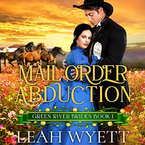 The Widow’s Mail Order Husband: Birch River Brides, Book 4 (Audible ...