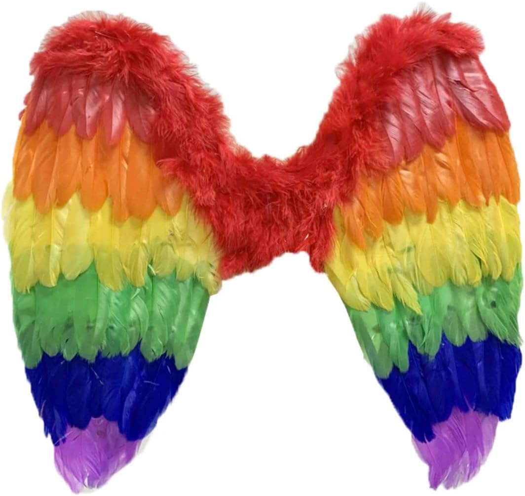Amazon.com: Rainbow Adult Angel Wings Costume - 20" by 18" - Rainbow ...