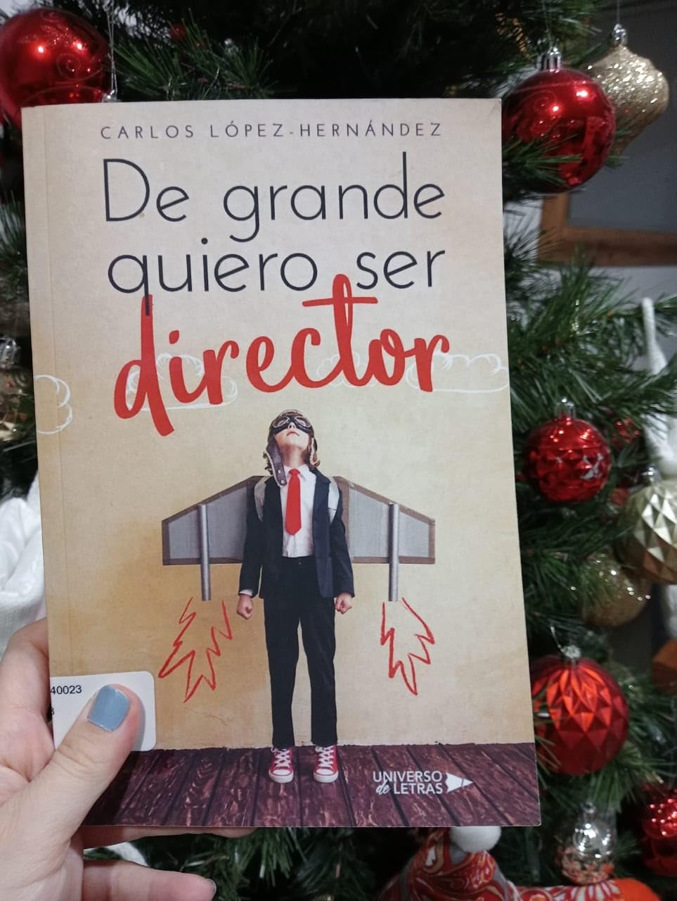 De grande quiero ser director (Spanish Edition) : López-Hernández ...