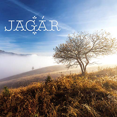 Amazon.com: JAGÁR : Jagár: Digital Music