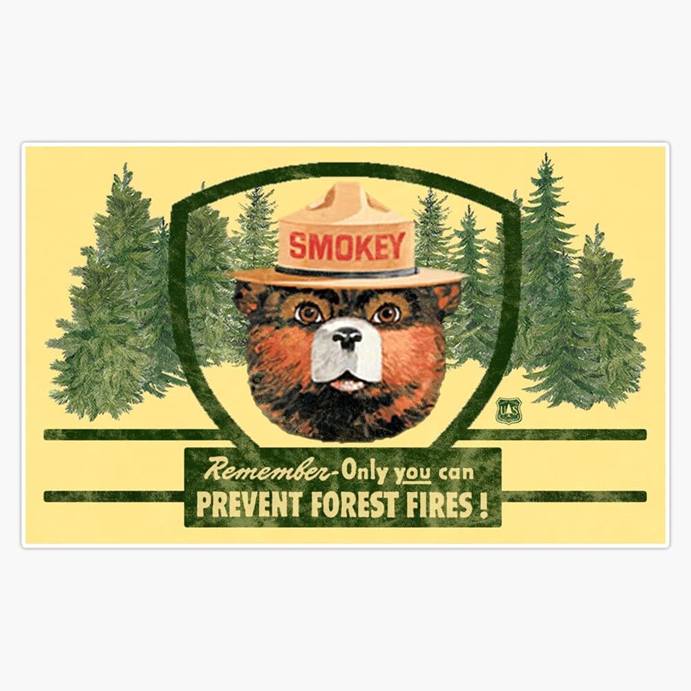 Amazon.com: BZ Trading Smokey The Bear - Only You Can Prevent Forest ...