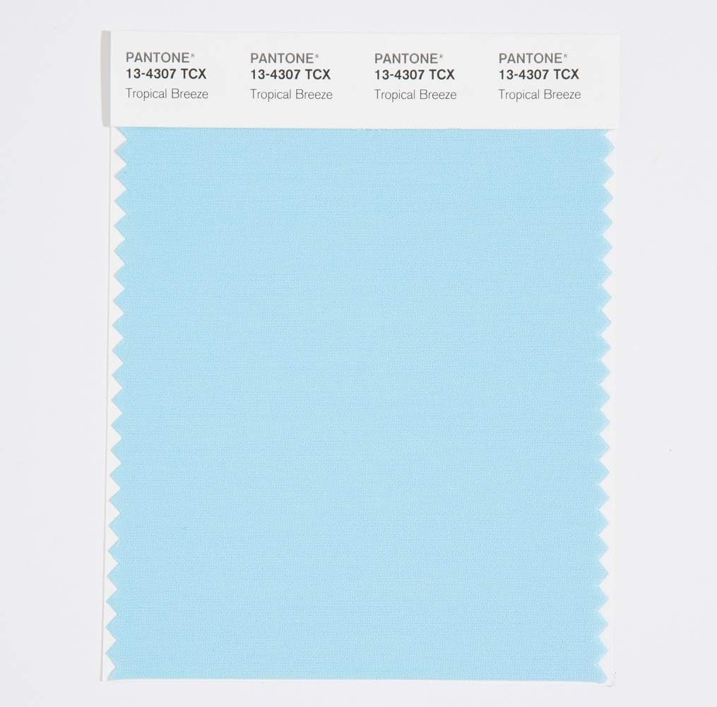 Amazon.com: Pantone Cotton Swatch Card Color Standard, Color # 13-4307 ...