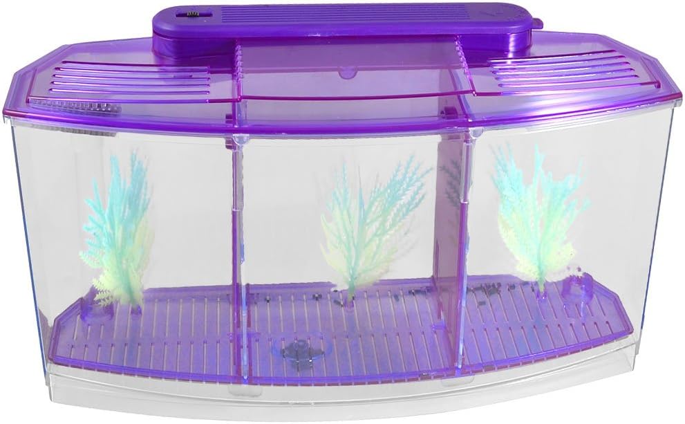 Veny's Plastic Fish Aquarium Mini Desktop Battery Powered LED Lamp ...