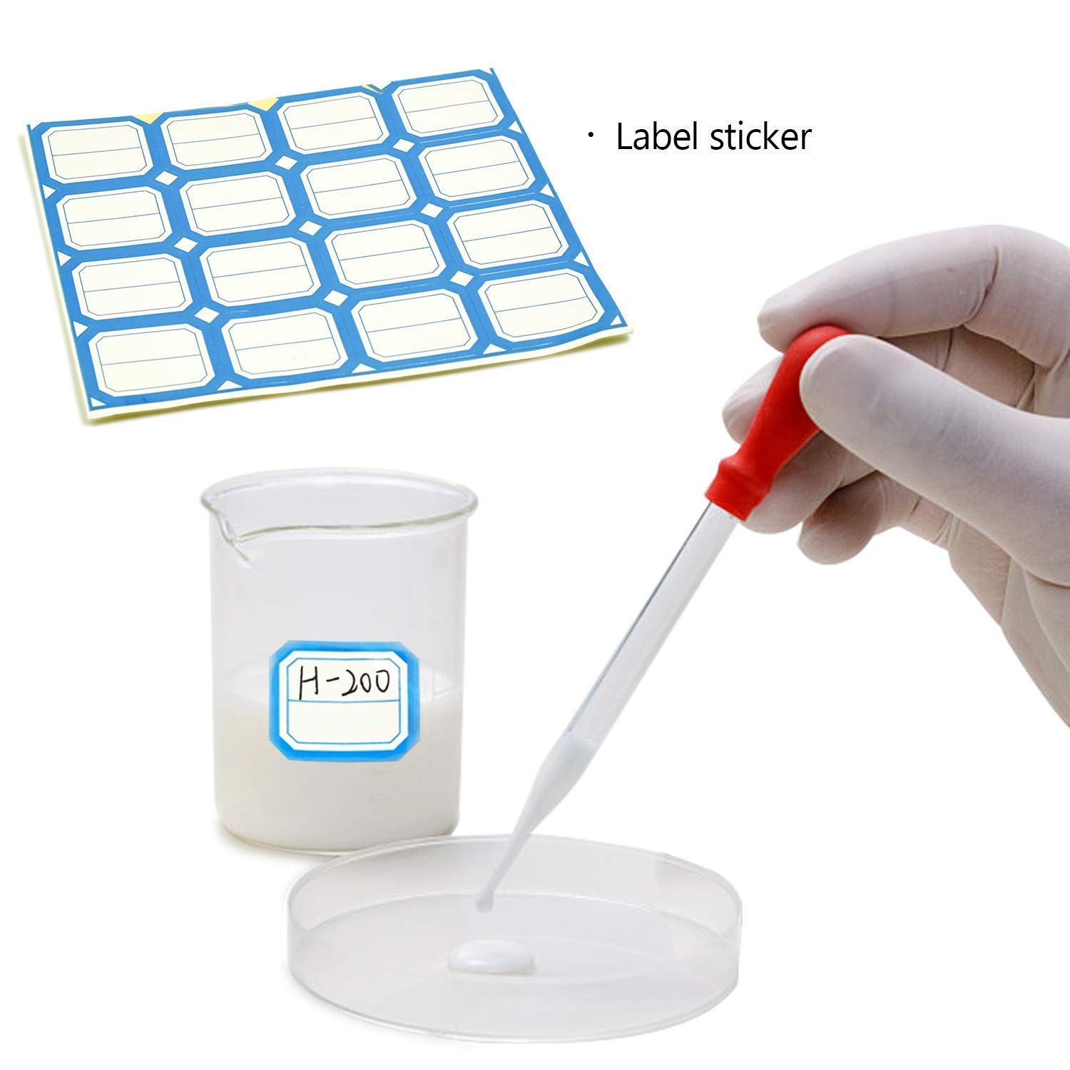 FEIGO 6 Pack Glass Beaker Set 25ml 50ml 100ml 250ml 400ml 600ml Thick ...