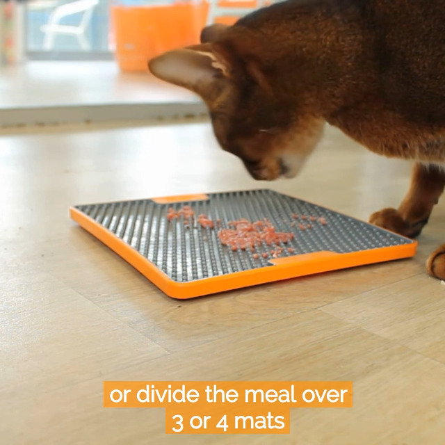 Watch LickiMat Tuff Cat Video on Amazon Live