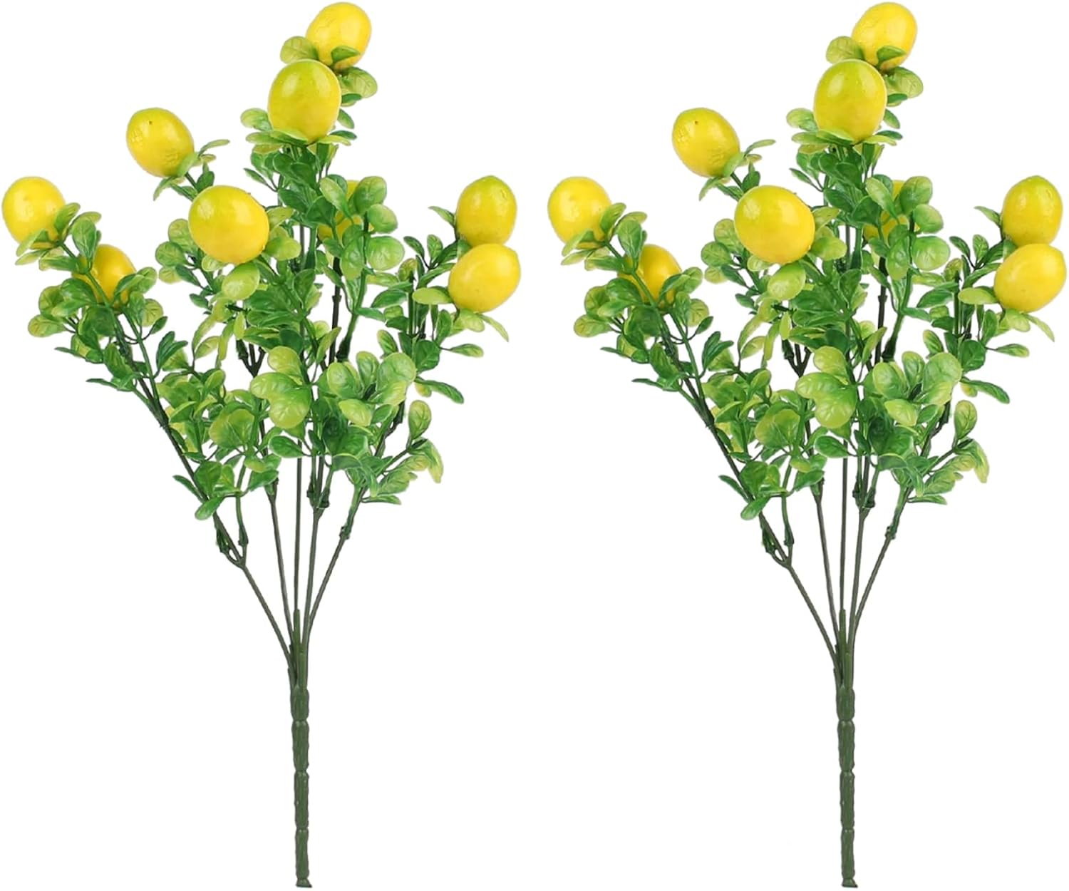 Amazon.com: HYLOOD 2Pack Artificial Lemon Branches, 14Inch Artificial ...