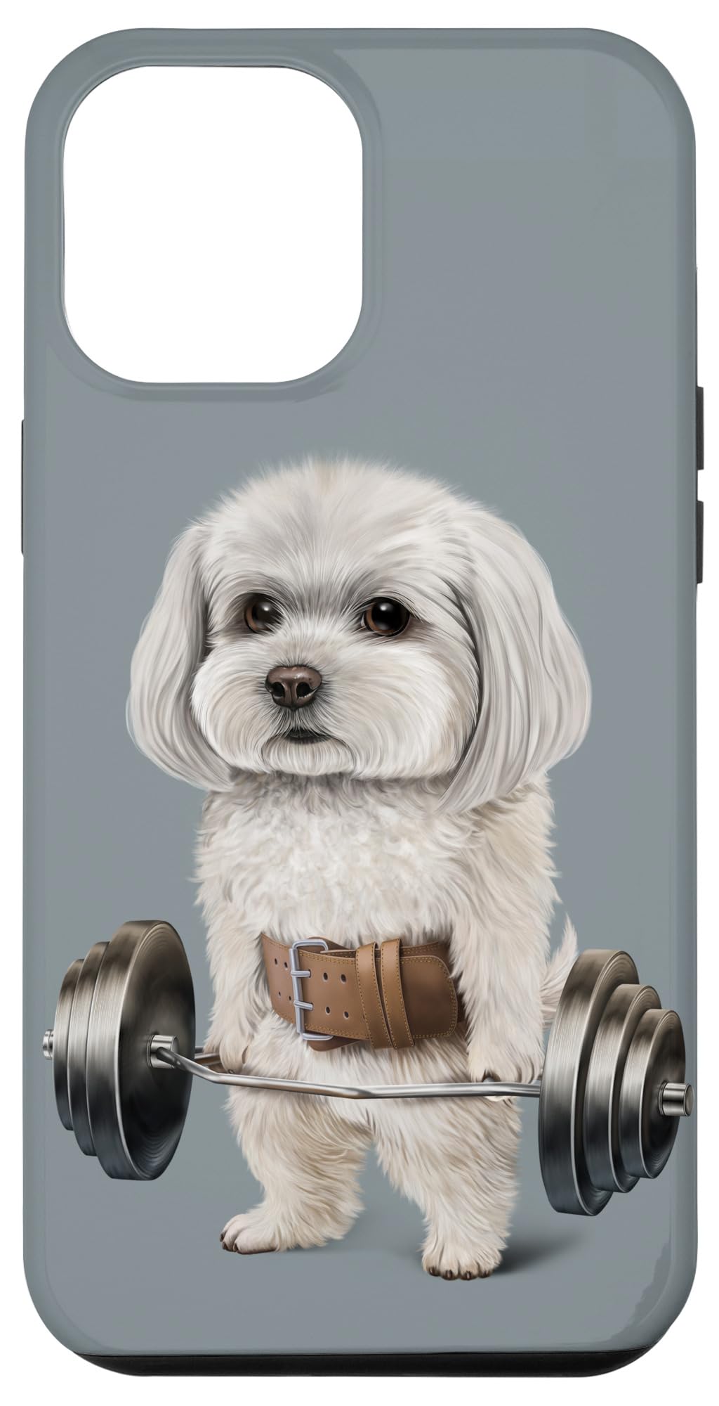 iPhone 14 Pro Max Maltese Dog Muscle Training with Barbell Shrug Bar ...