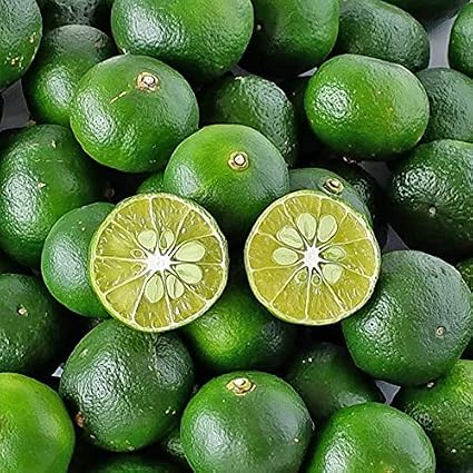 Amazon.co.jp: Okinawa Prefecture Blue Cut Shikuwasa Fruit (3.3 lbs (1.5 ...