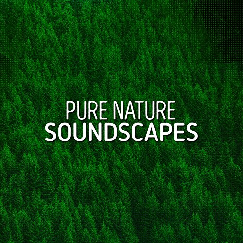Amazon.com: Pure Nature Soundscapes : Pure Relaxation: Digital Music