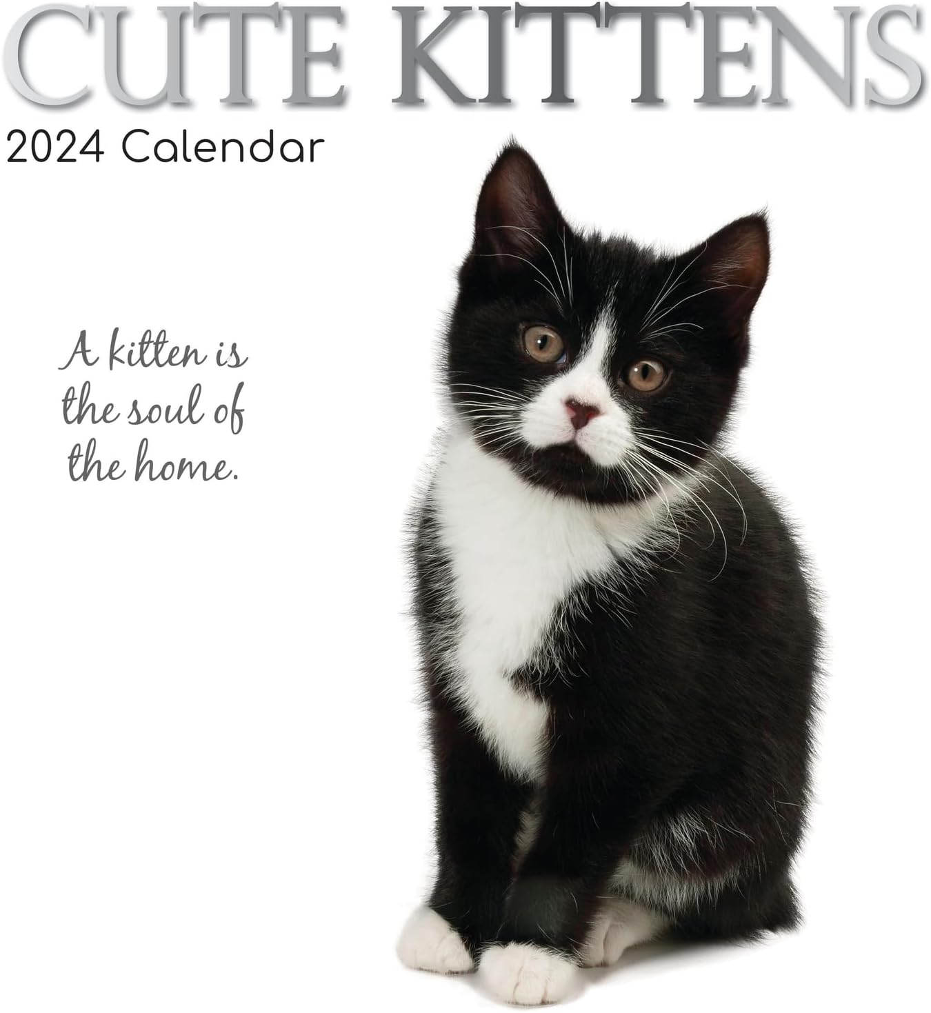 Amazon.com: Cat Calendar 2024 with Sticker Pack, Kitten Square Large ...