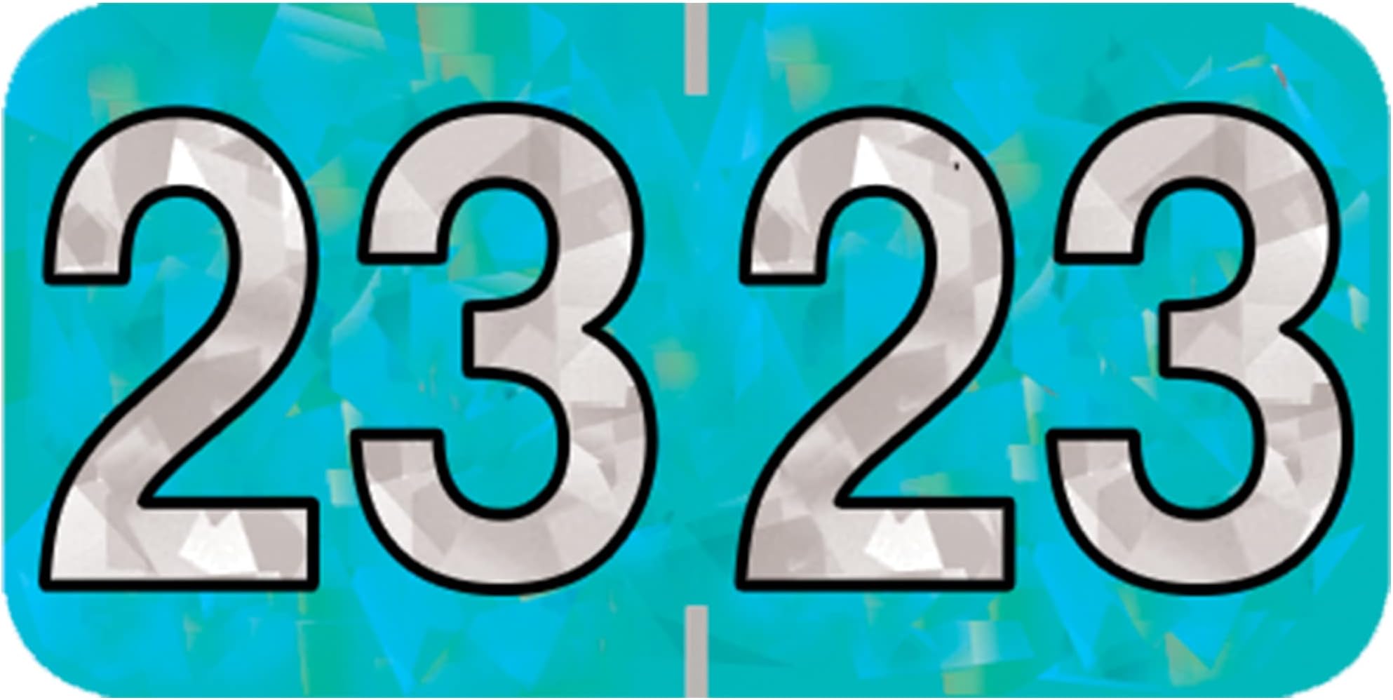 Amazon.com : 2024 Year Stickers, Doctor Stuff, Holographic Aqua Colored ...