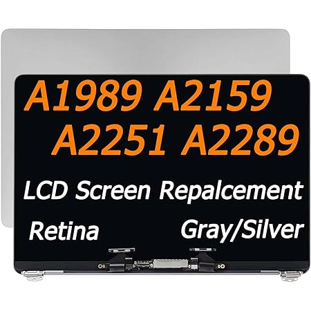 Amazon.com: DZLQS A1989 A2159 A2251 A2289 LCD Screen Display Assembly ...