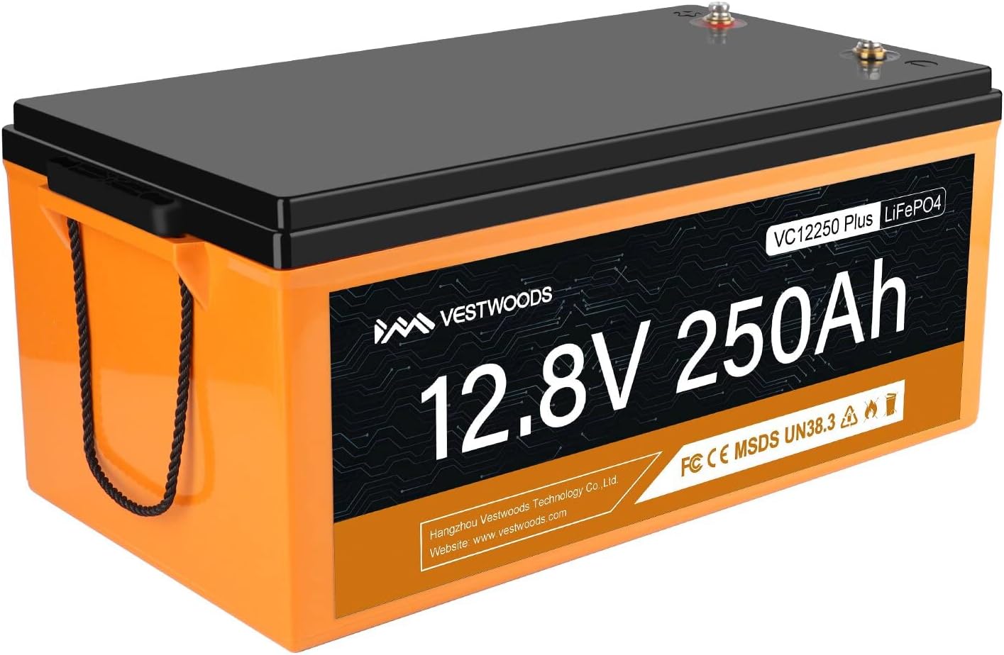 Amazon.com: HW 12V 12Ah Battery LiFePO4 Lithium Batteries,153.6Wh 12V ...