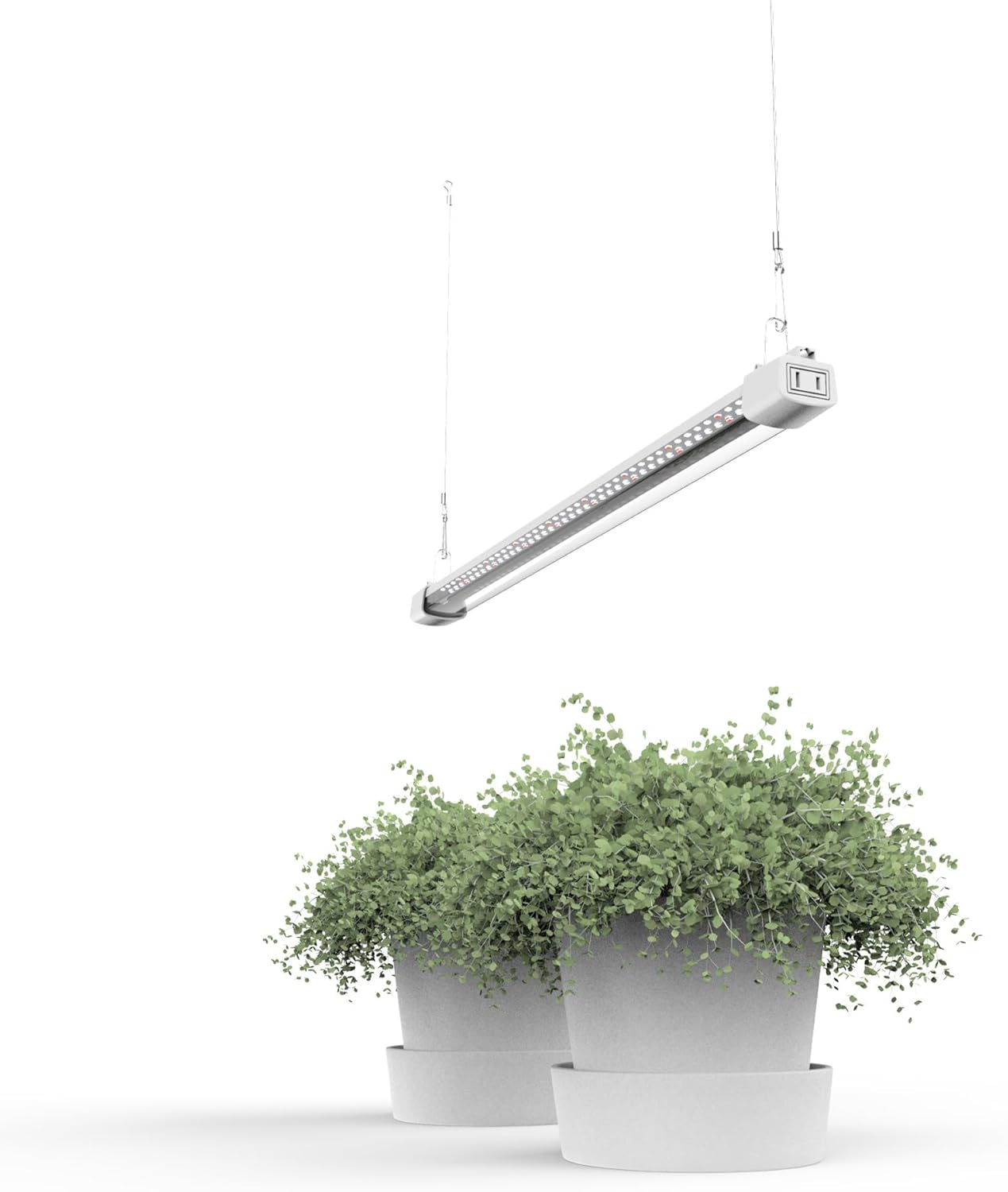 Amazon.com: APICDOM LED Grow Light 2FT Full Spectrum Compact Slim ...