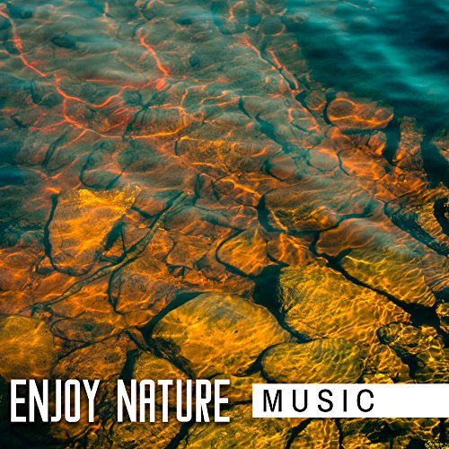 Amazon MusicでNature Sounds ArtistsのEnjoy Nature Musicを再生する