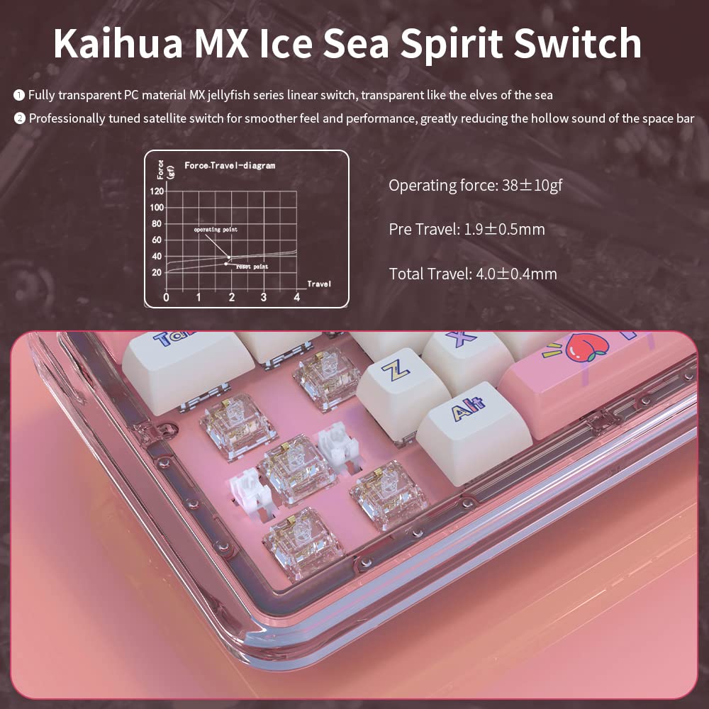 Snapklik.com : NACODEX 65% Transparent Crystal Acrylic Keyboard